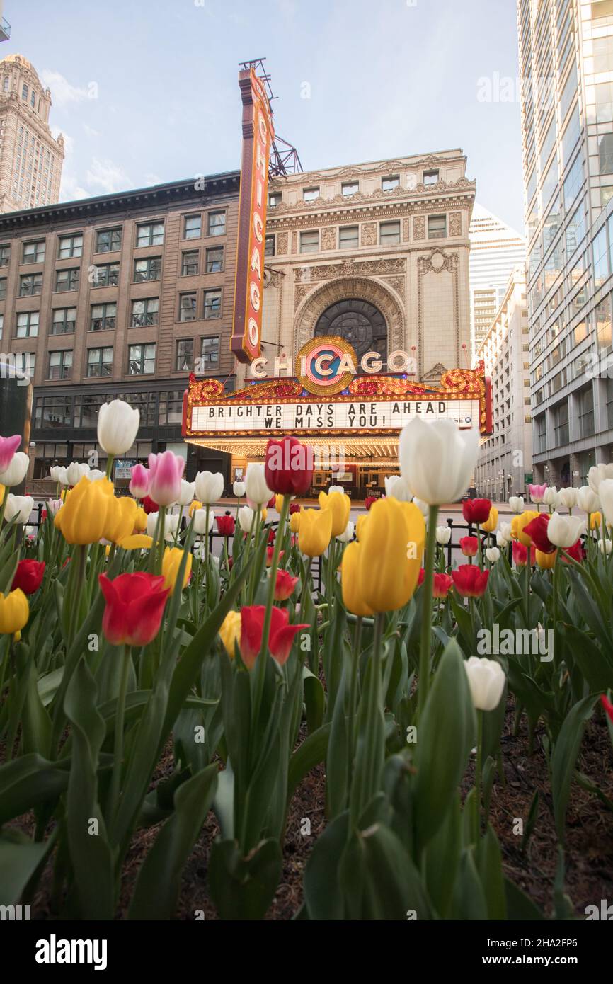 Chicago, Illinois, USA: The Chicago Theater n the Springtime with ...