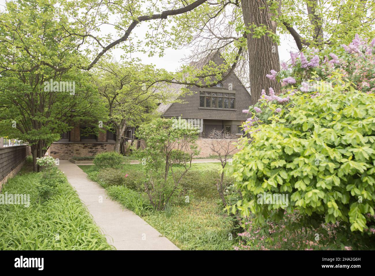 Oak Park Chicago Illinois Frank Lloyd Wright Home and Studio Stock ...