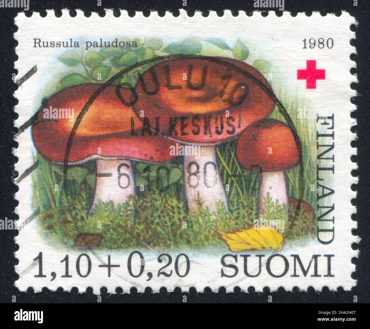FINLAND - CIRCA 1980: stamp printed by Finland, shows russula mushrooms ...