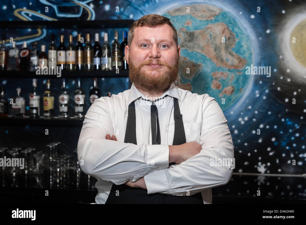 Bearded Adult Caucasian Looking Professional Bartender Portrait in ...