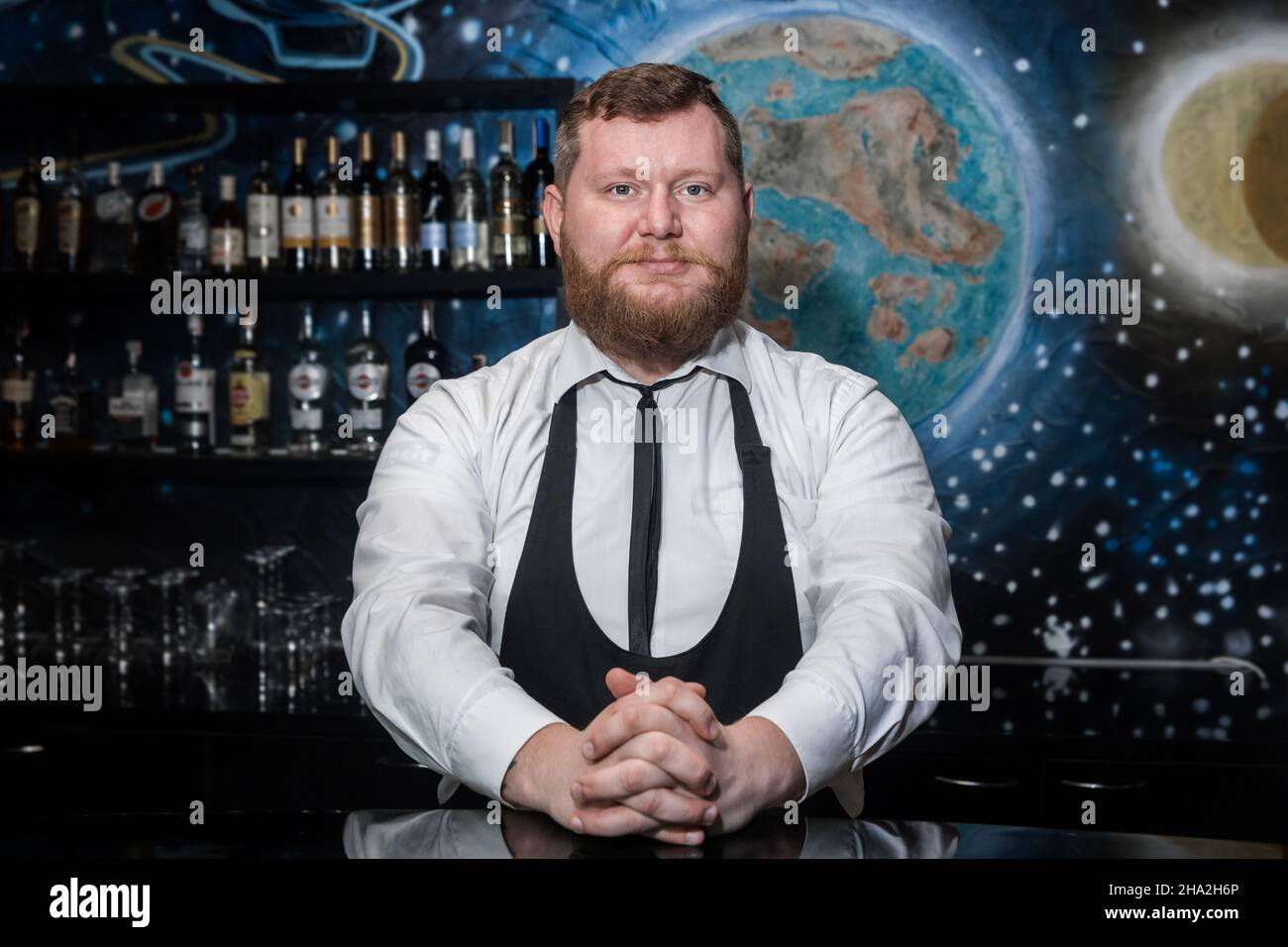 Bearded Adult Caucasian Looking Professional Bartender Portrait in ...