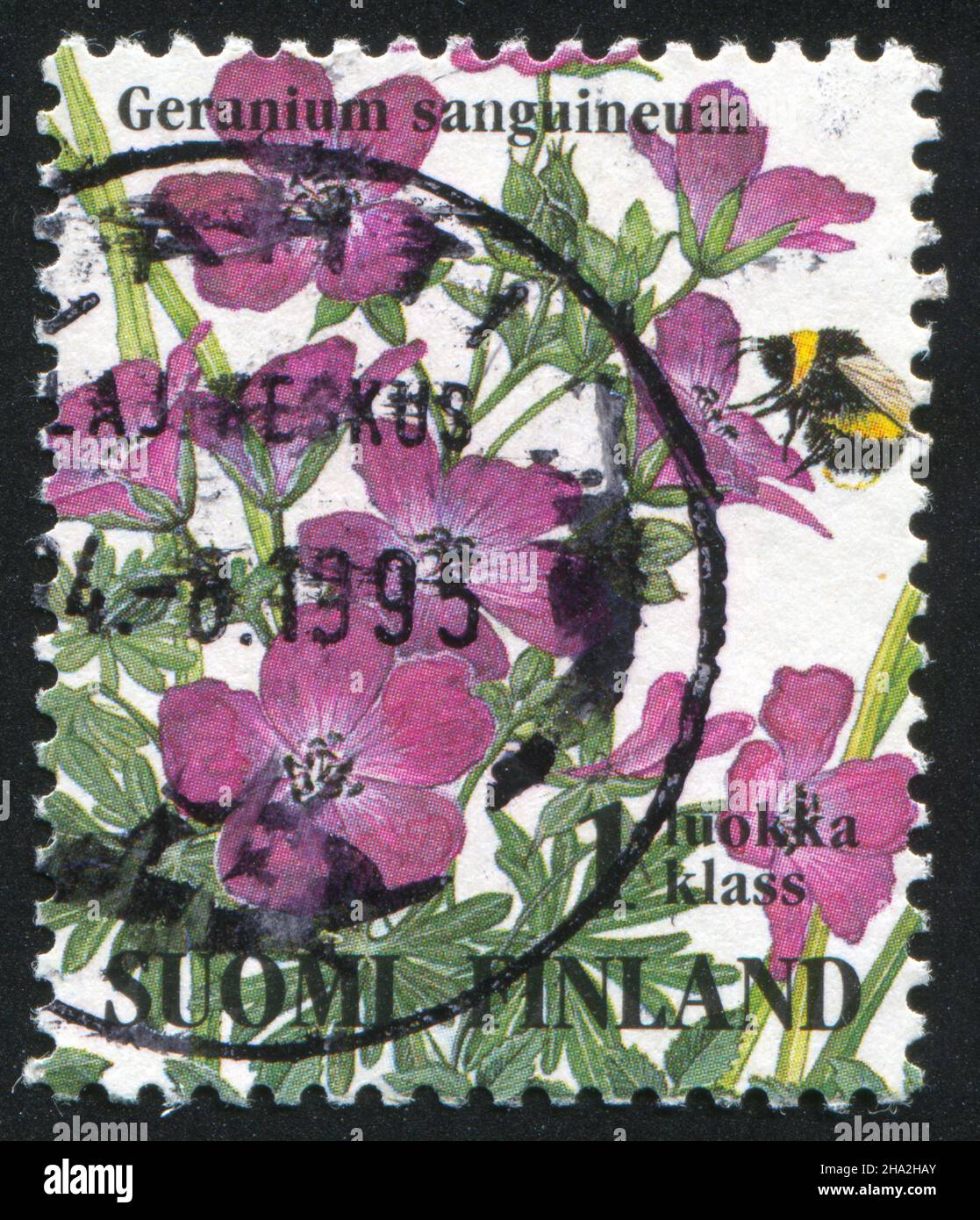 FINLAND - CIRCA 1994: stamp printed by Finland, shows Blood red ...