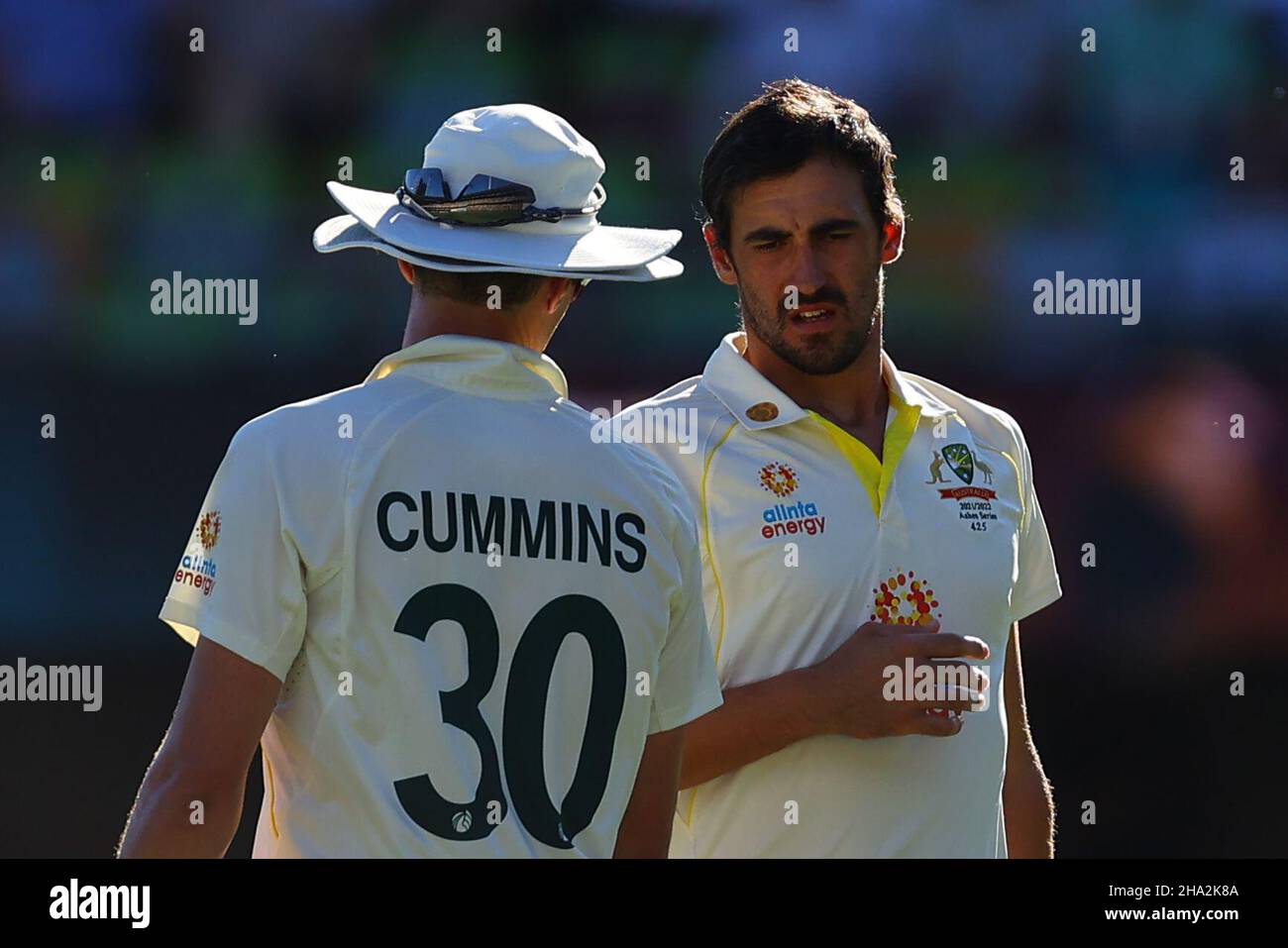 Mitchell Starc of Australia and Pat Cummins of Australia converse ...