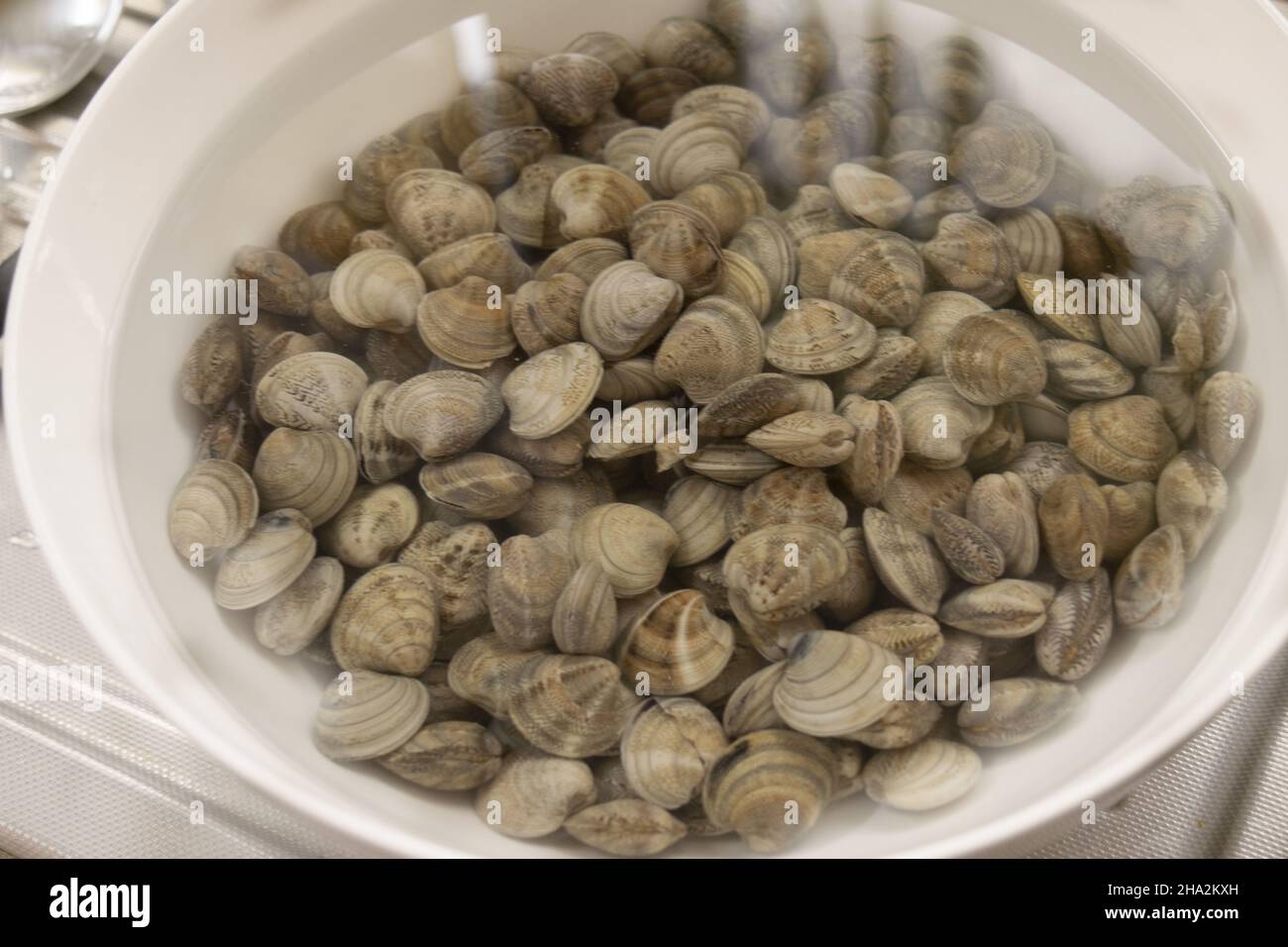 Water purge hi-res stock photography and images - Alamy