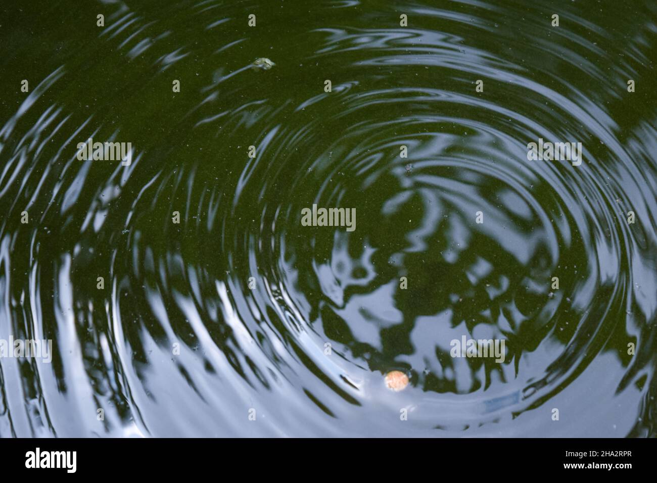 Macro shot of circular waves in the water with a reflection Stock Photo ...