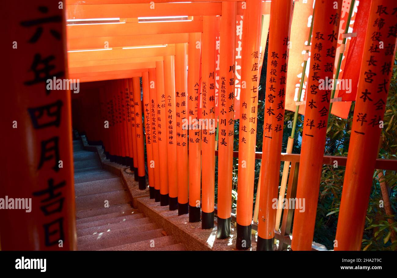 Tori gates at a shrine in Tokyo Stock Photo - Alamy