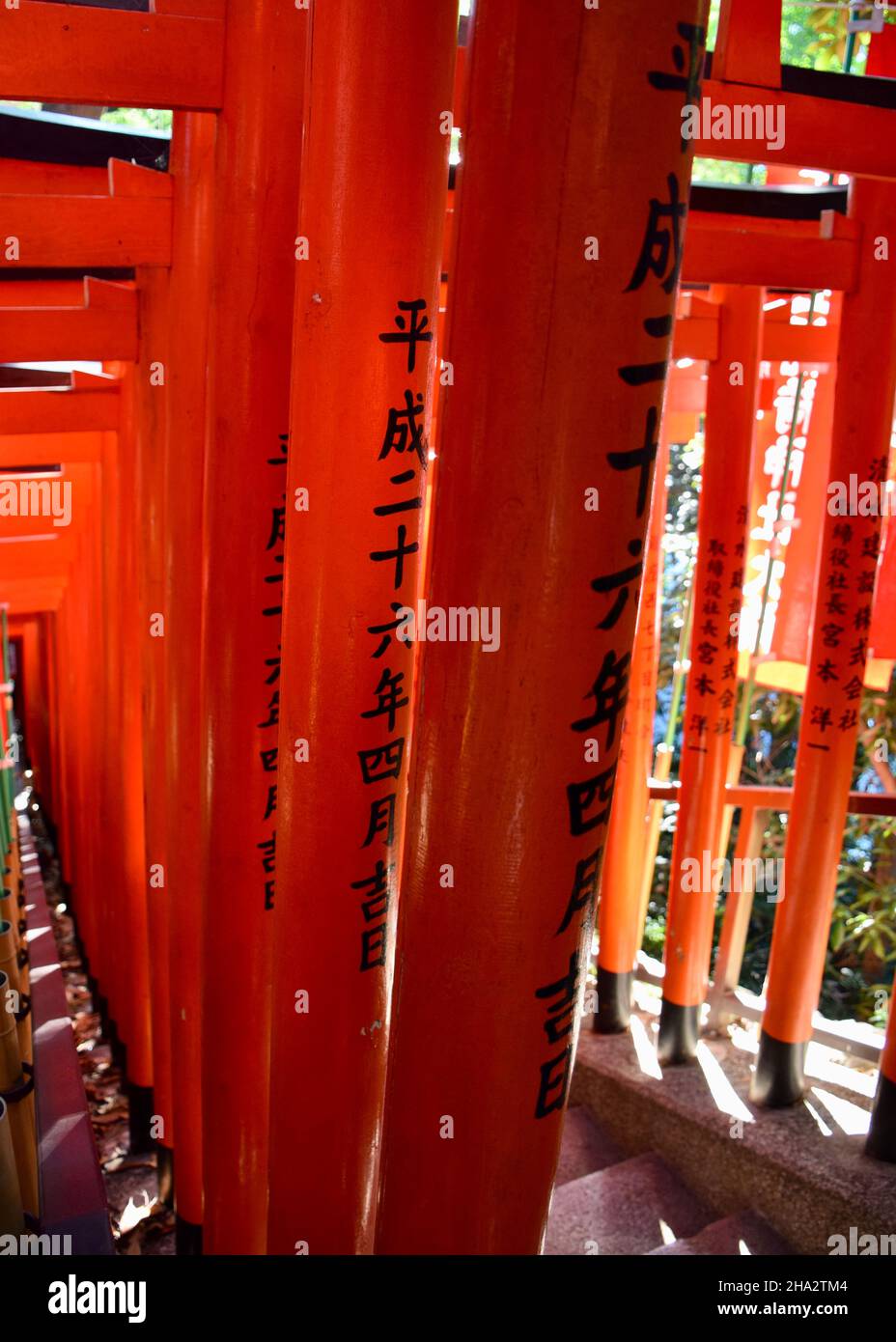 Tori gates at a shrine in Tokyo Stock Photo - Alamy