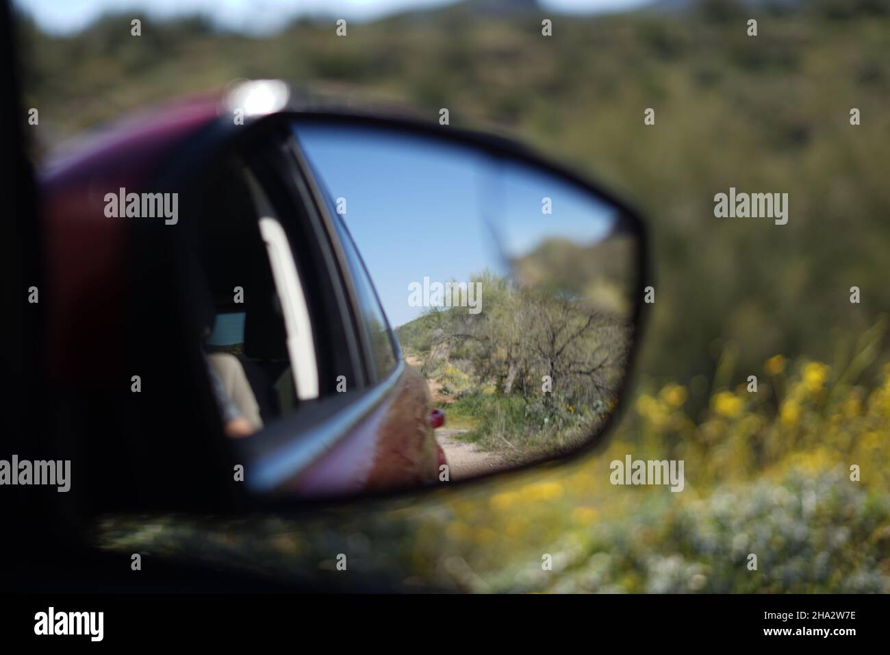 Closeup shot mirror wheel hi-res stock photography and images - Alamy