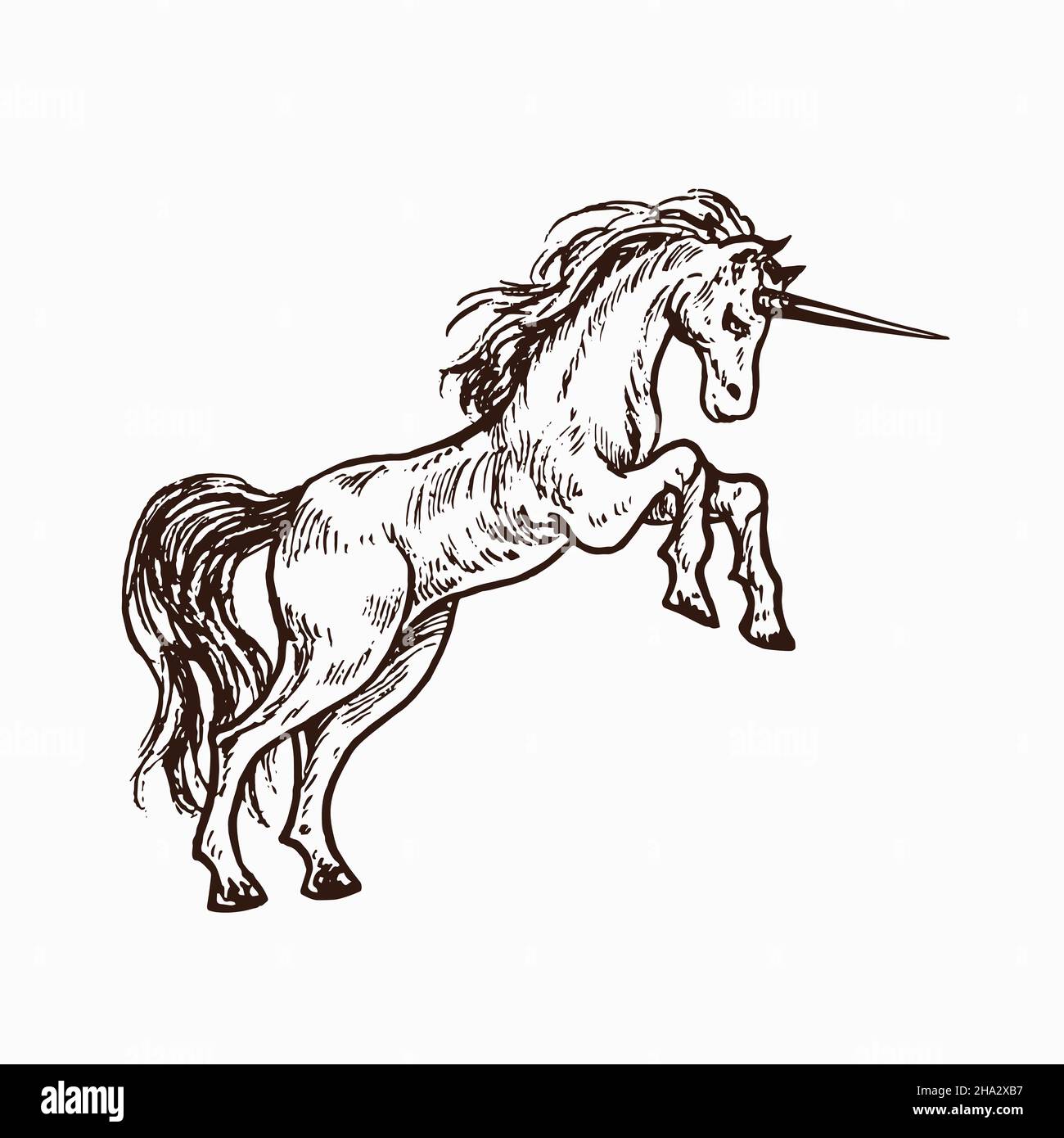 Unicorn, hand drawn doodle sketch, ink drawing illustration Stock Photo ...
