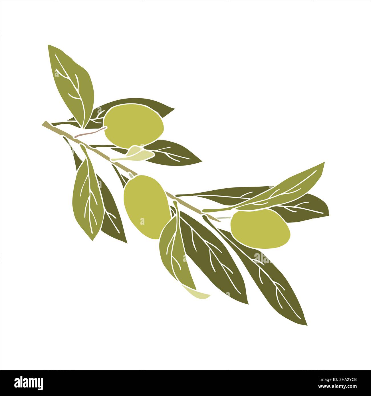 Green fruits drawing hi-res stock photography and images - Alamy