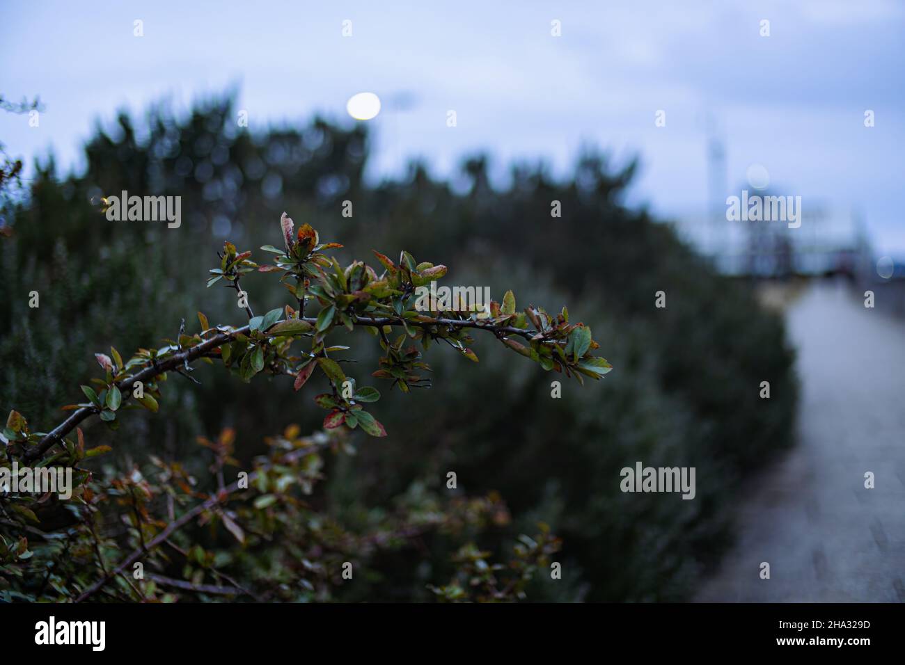 View of river Medway at Chatham dockside Stock Photo - Alamy