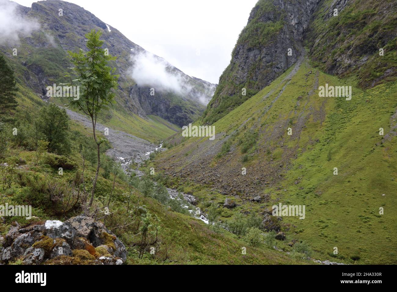 Tundola hi-res stock photography and images - Alamy