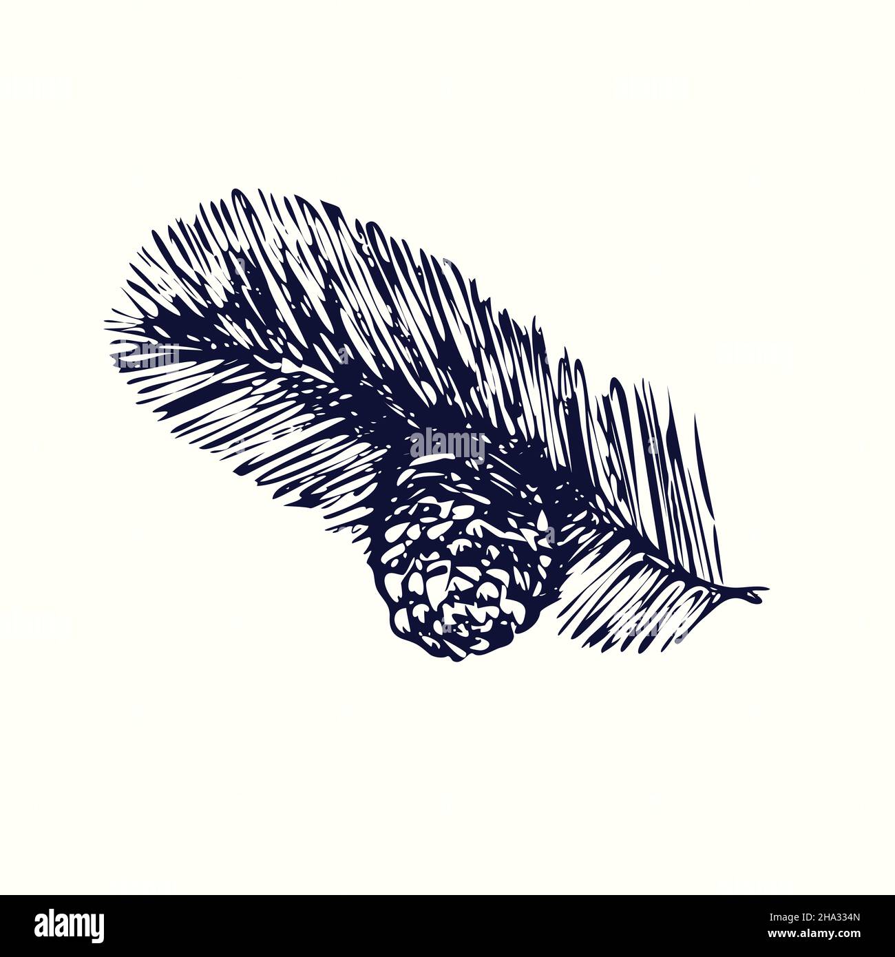Pine branch, needles and cone. Ink black and white doodle drawing in ...