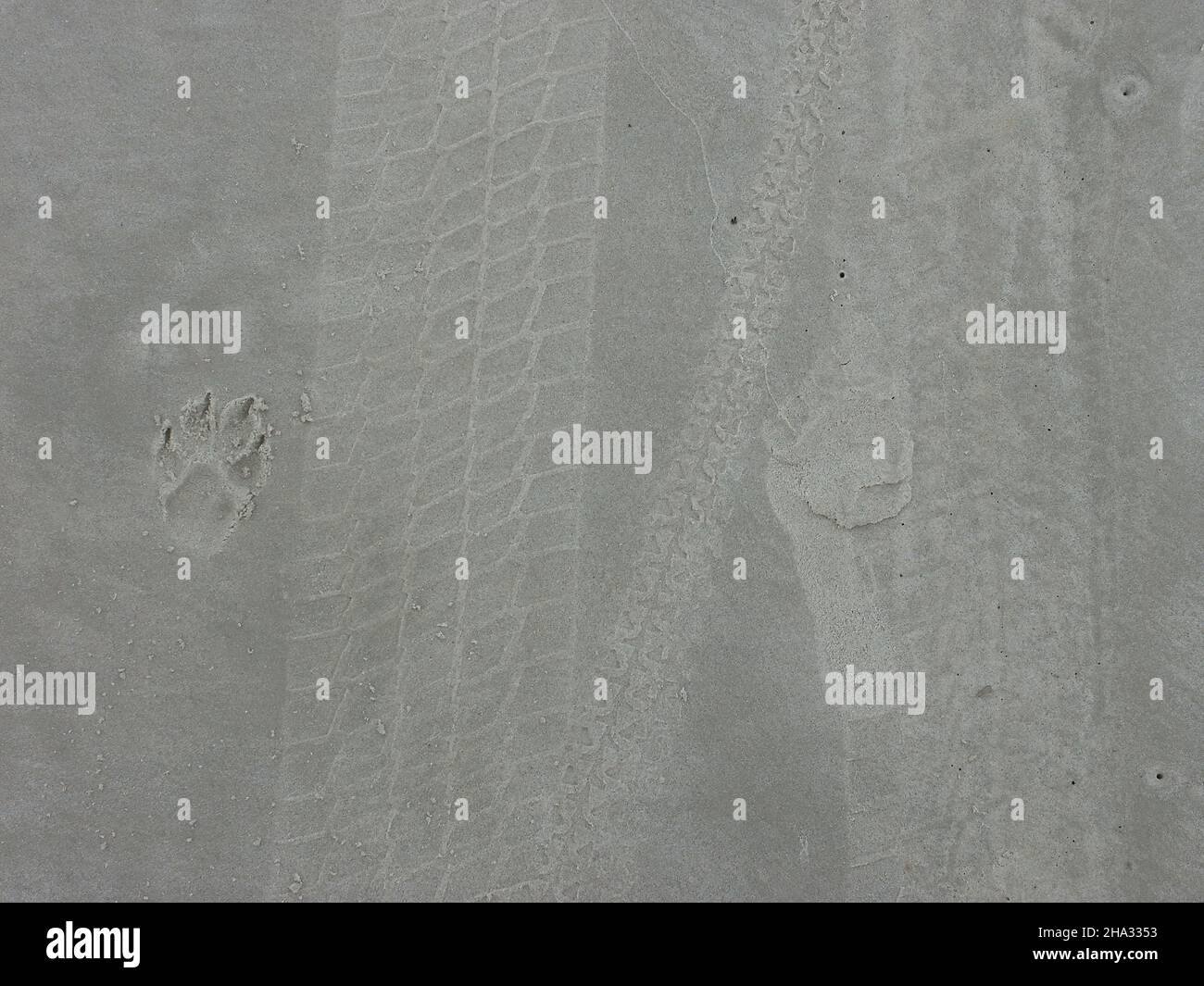 Footprints on the sandy beach, Footprints on the sand, Backgrounds ...