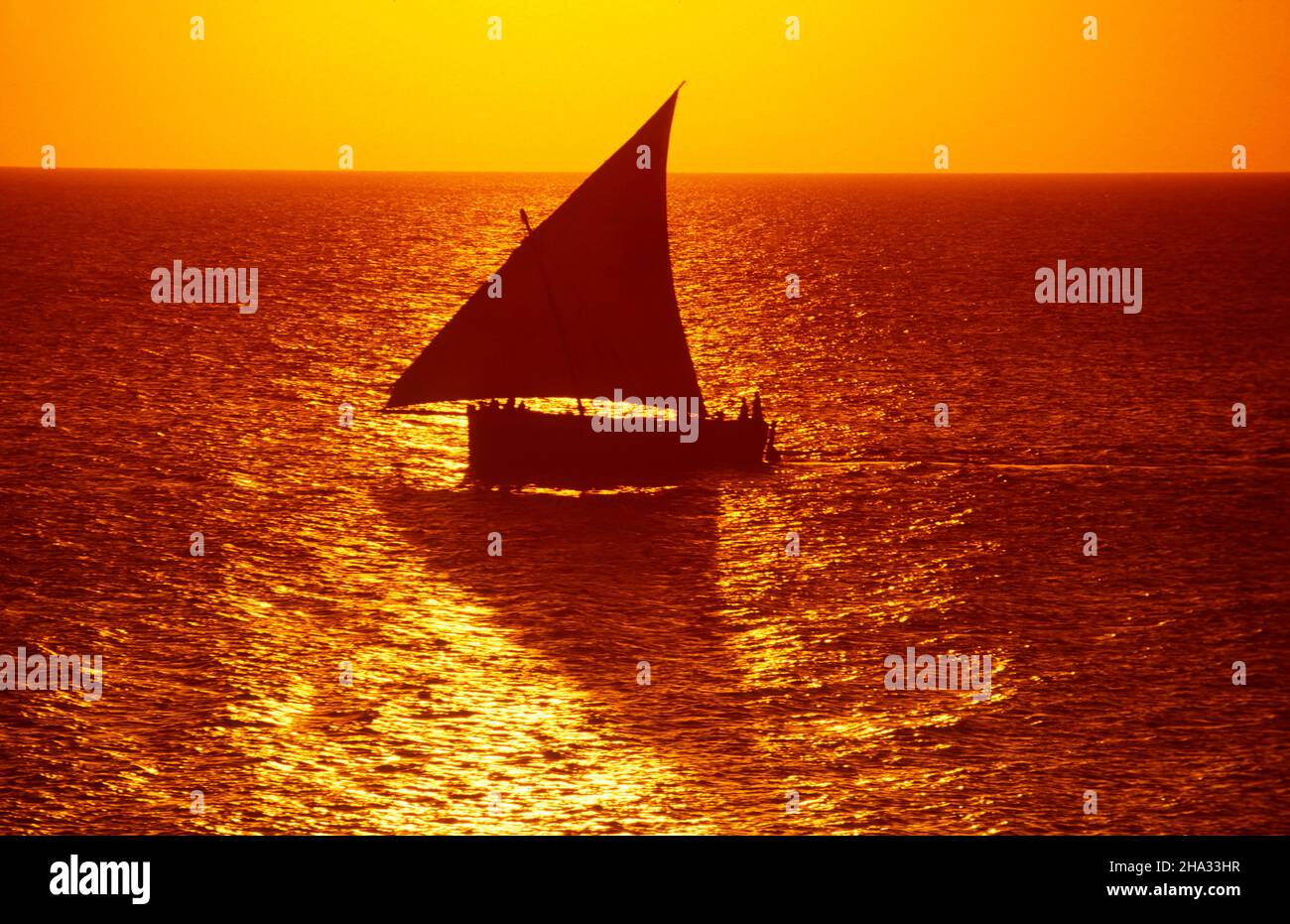 a traditional Dhoni Sailboat at the Indian Ocean in front of the Old ...