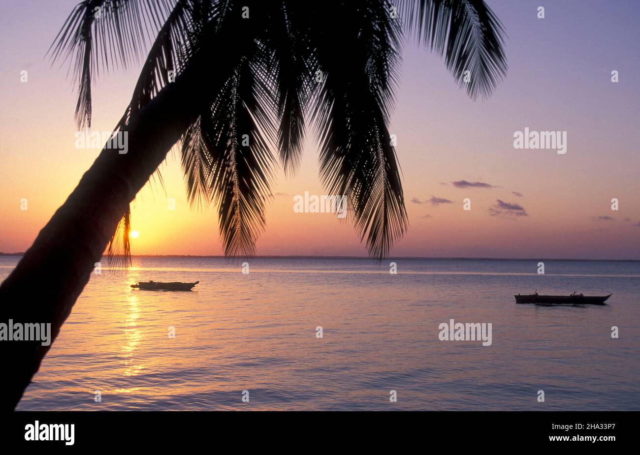 a sunset with Palmtrees on the Beach at the Chwaka Bay near the Village ...
