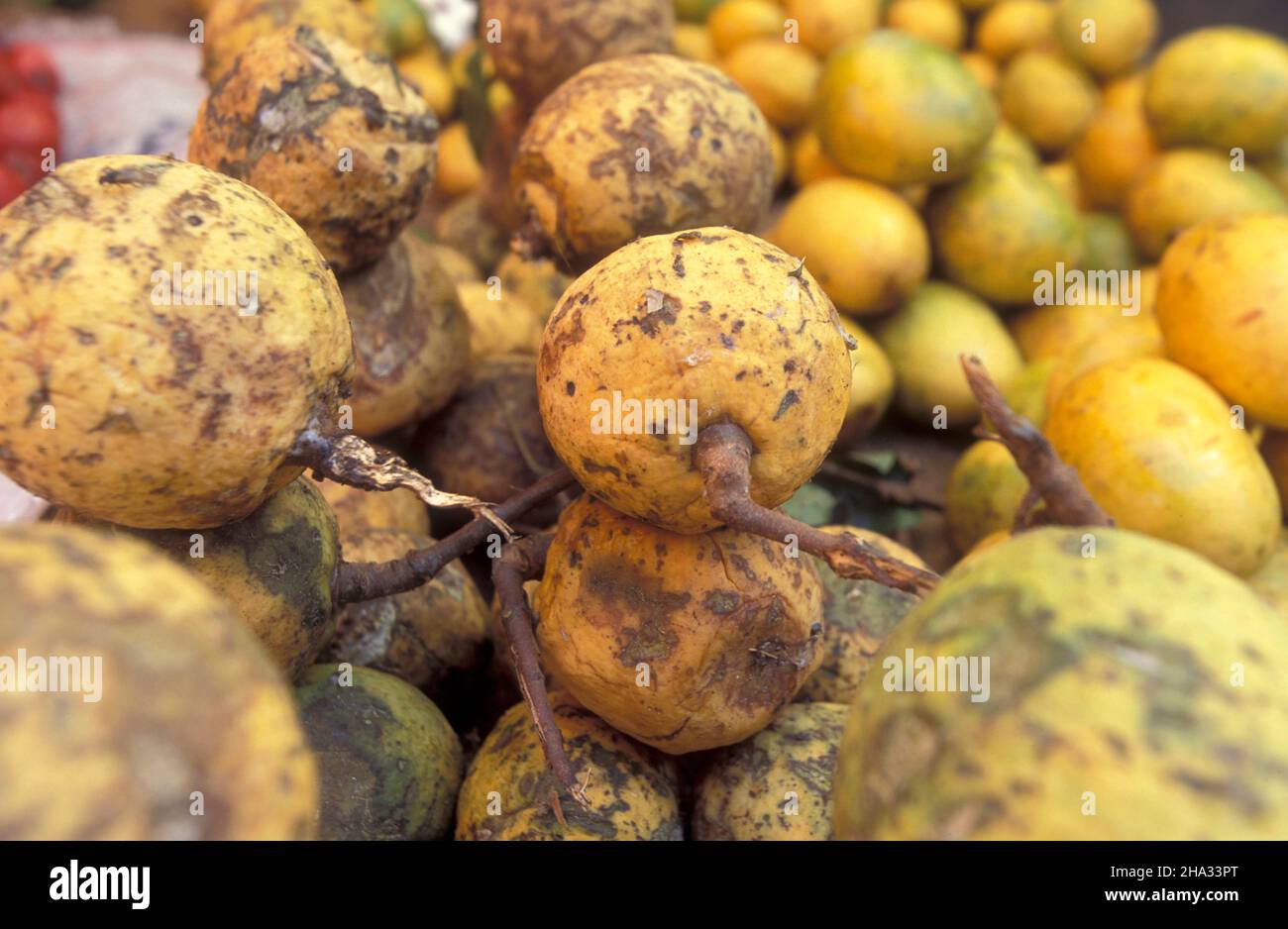Passion fruits and vegetable at the food Market in the Old Town of ...
