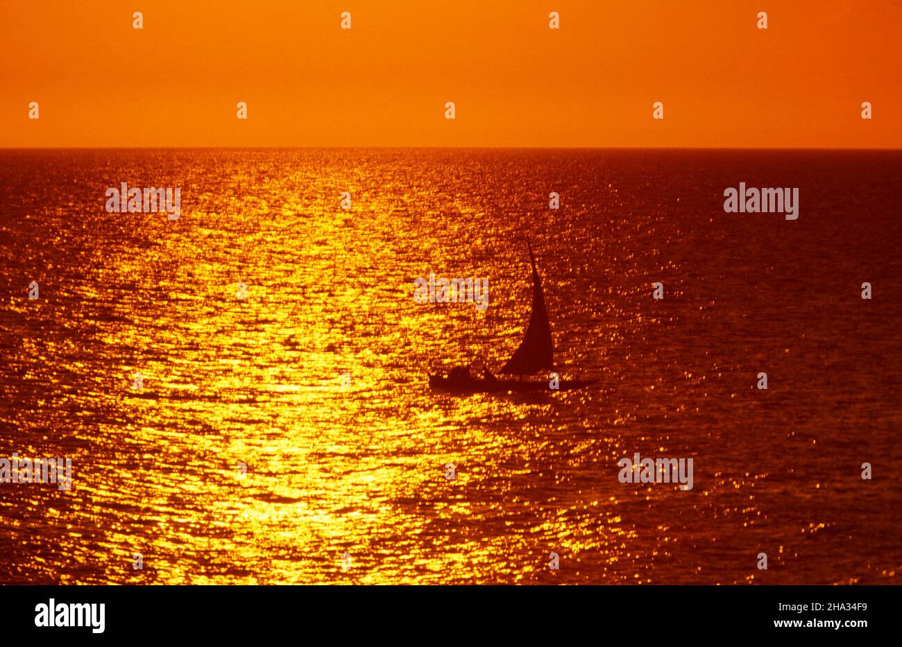 a traditional Dhoni Sailboat at the Indian Ocean in front of the Old ...