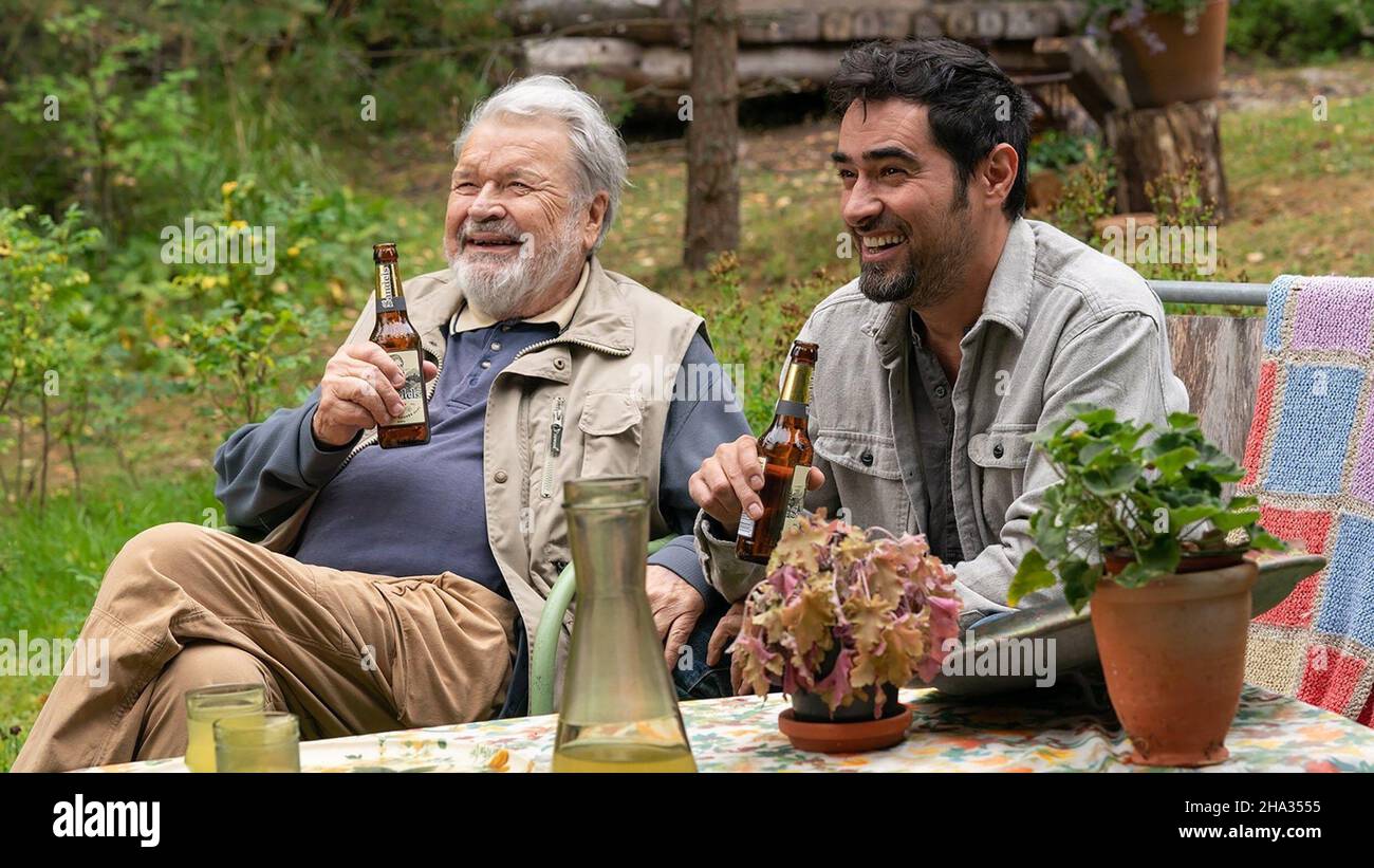 Shahab hosseini hi-res stock photography and images - Alamy