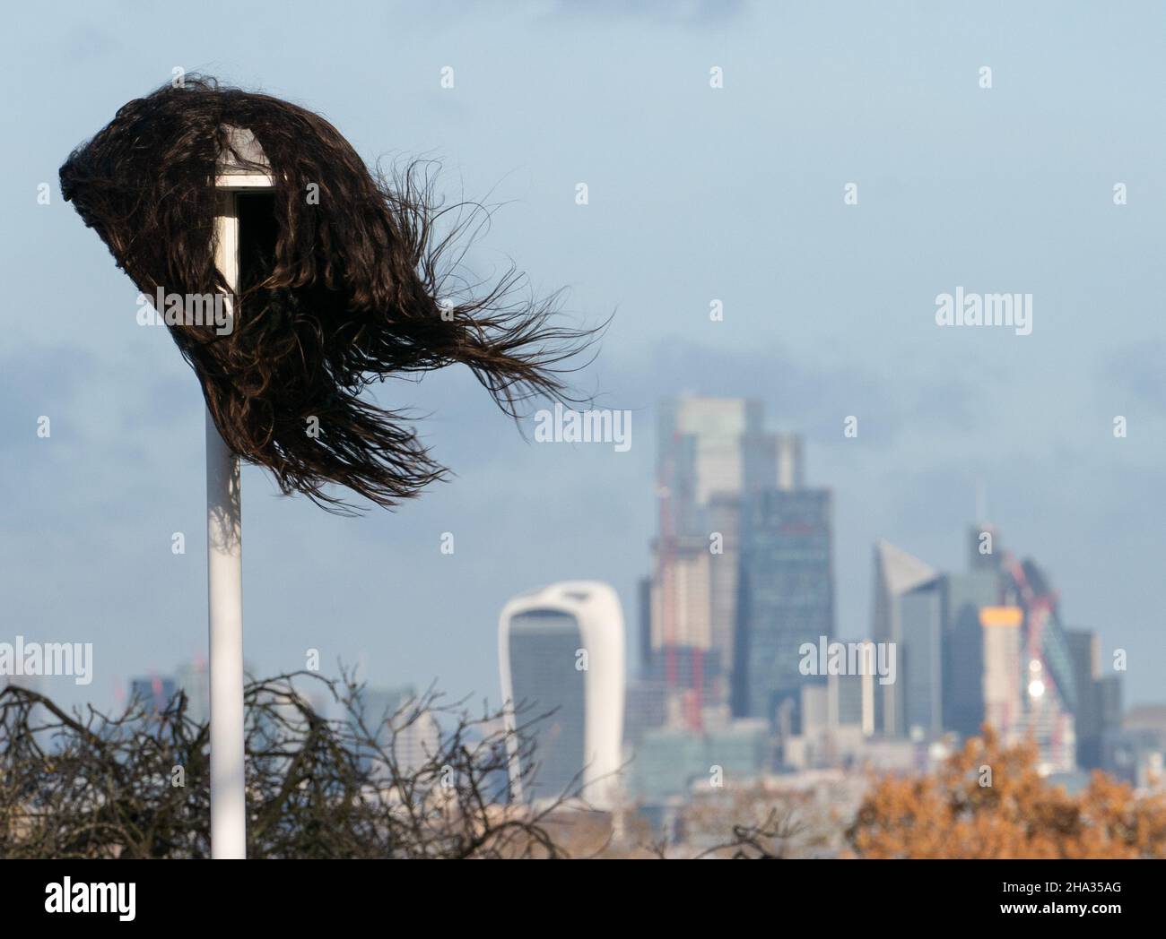 'Your image will be weathered but never taken away' a giant wig by ...