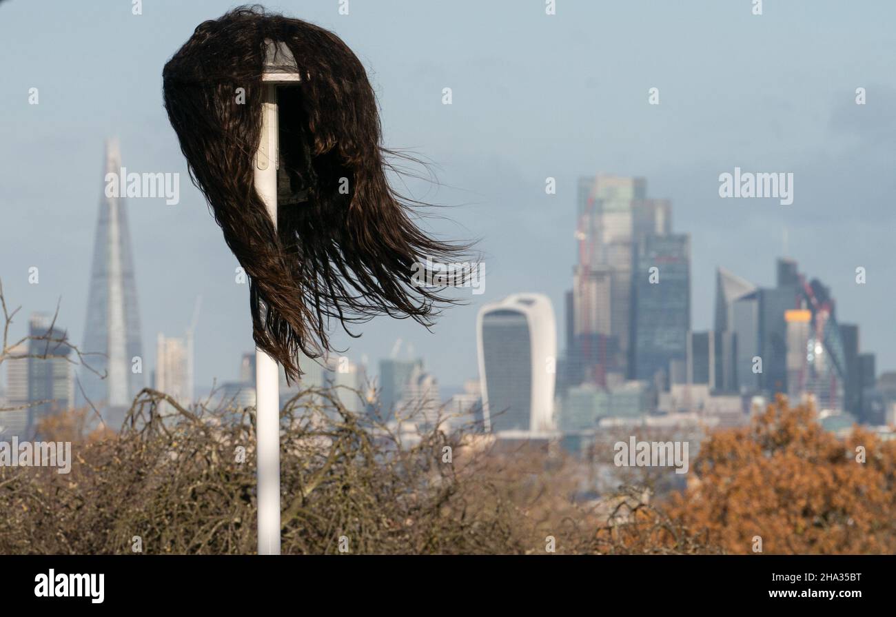 'Your image will be weathered but never taken away' a giant wig by ...