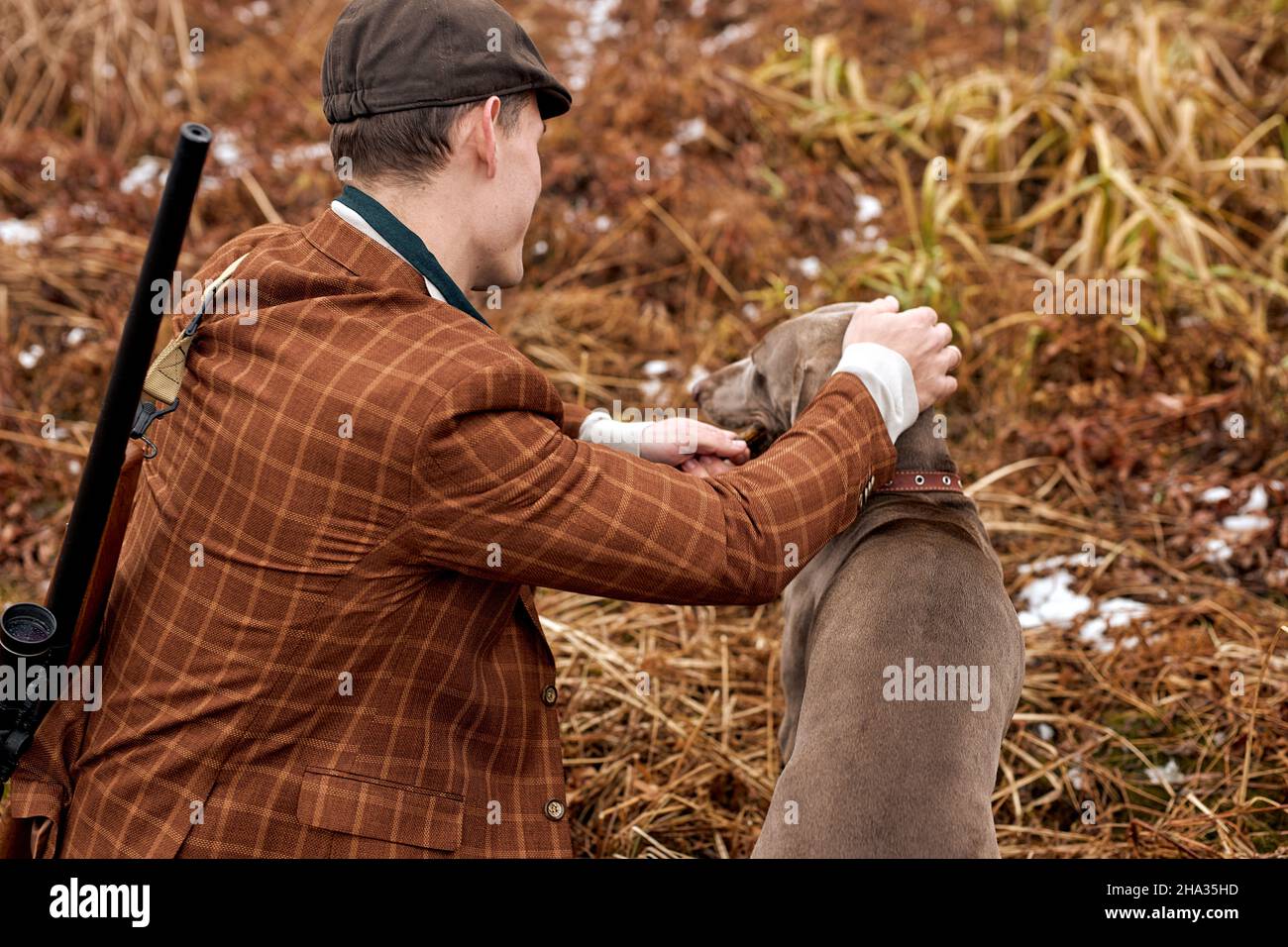 Back view man his dog sitting on hi-res stock photography and images ...
