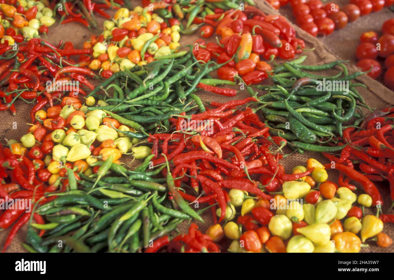 chili at the fruits and vegetable at the food Market in the Old Town of ...