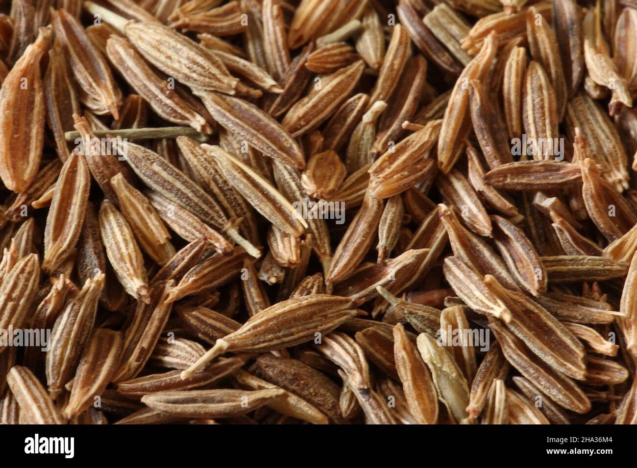 Top view of cumin seeds pattern for food background Stock Photo - Alamy