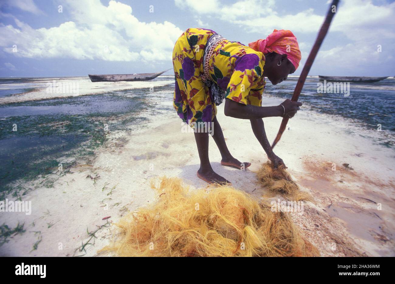 women are producing Coconut string from Coconut fiber at the East Coast ...