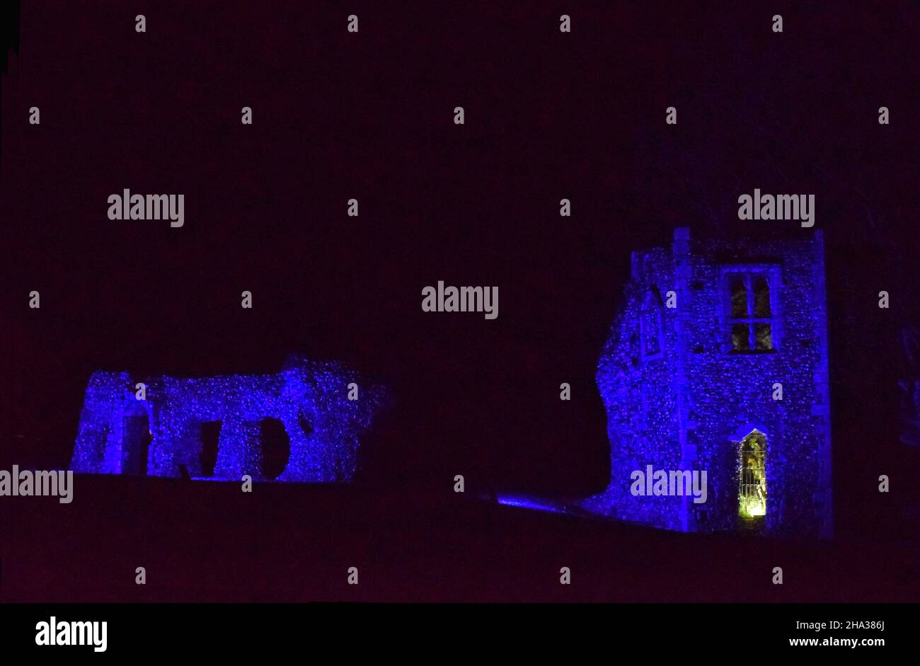 Bury St Edmunds, Abbey ruins, Illuminabbey,Christmas 2021 Stock Photo ...