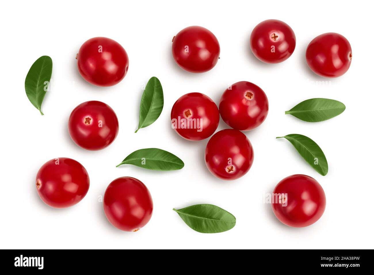 Cranberry with leaves isolated on white background with clipping path ...
