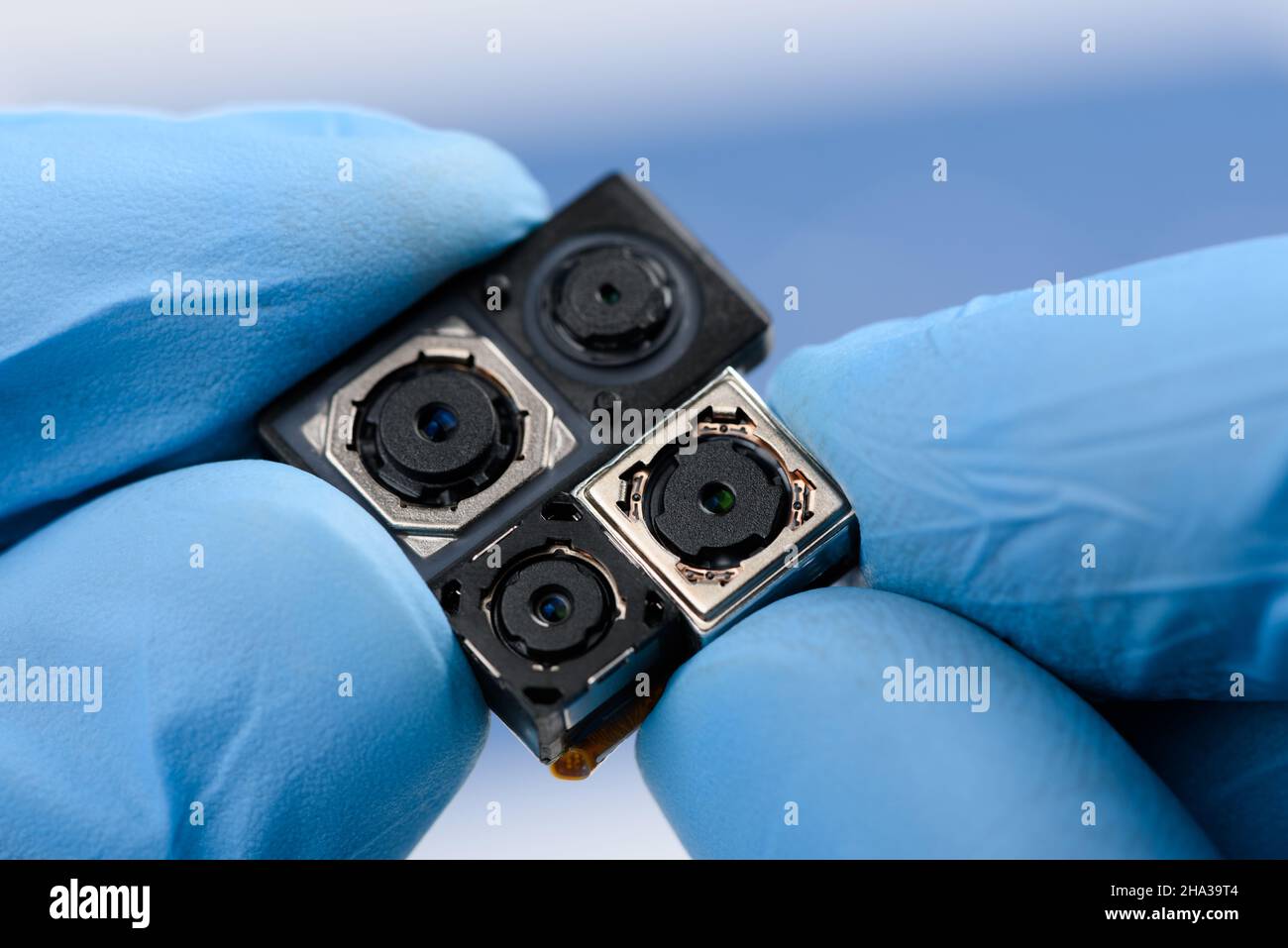 Smartphone camera modules in scientist hands. Different sensor sizes ...