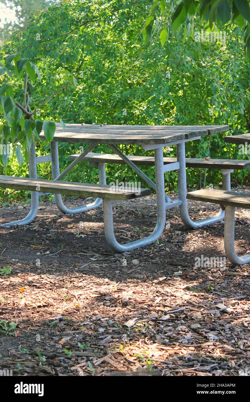 A typical picnic table standing in the green summer meadow in the ...