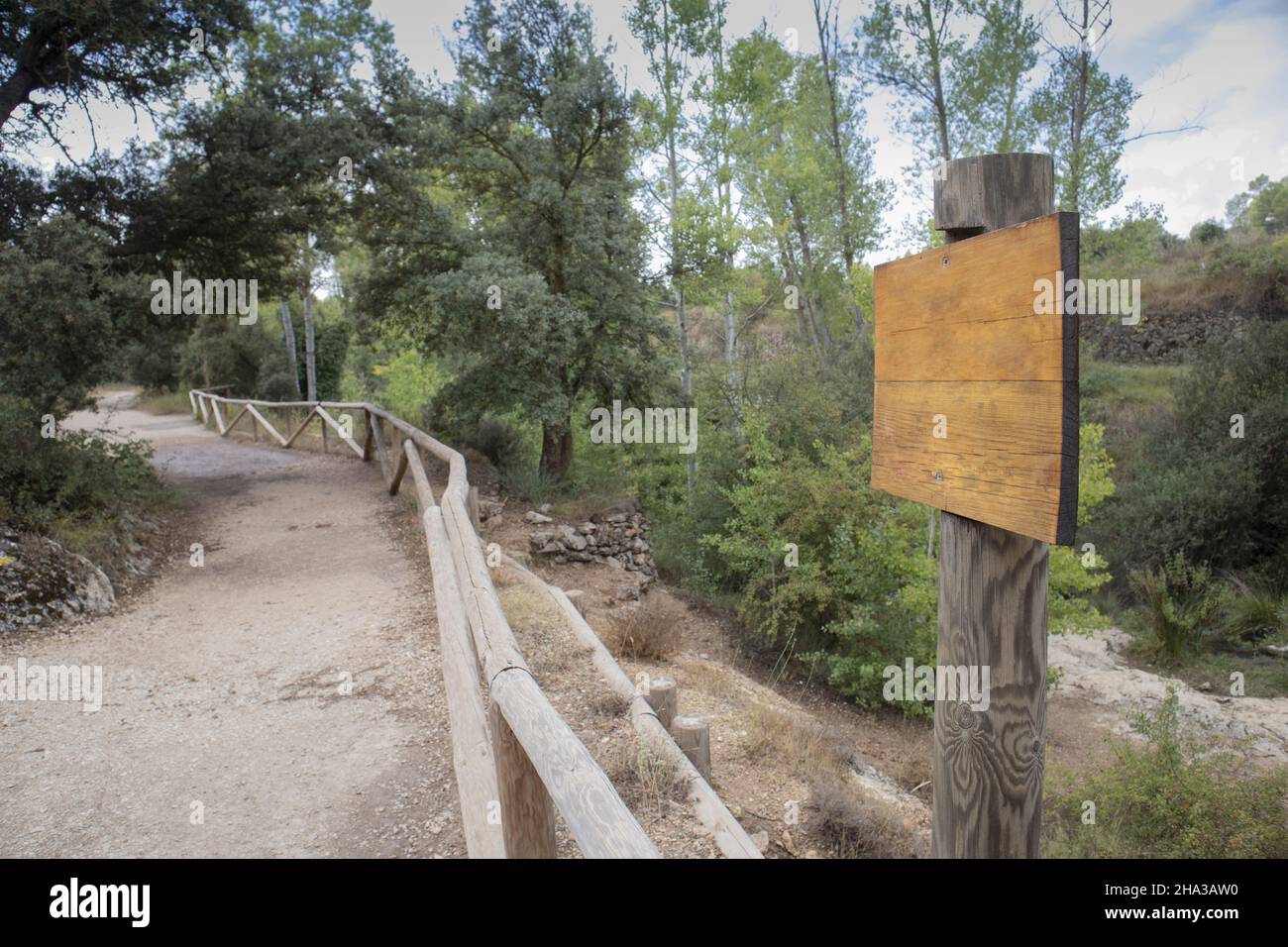 Forest path with wooden sign Space for text Stock Photo - Alamy