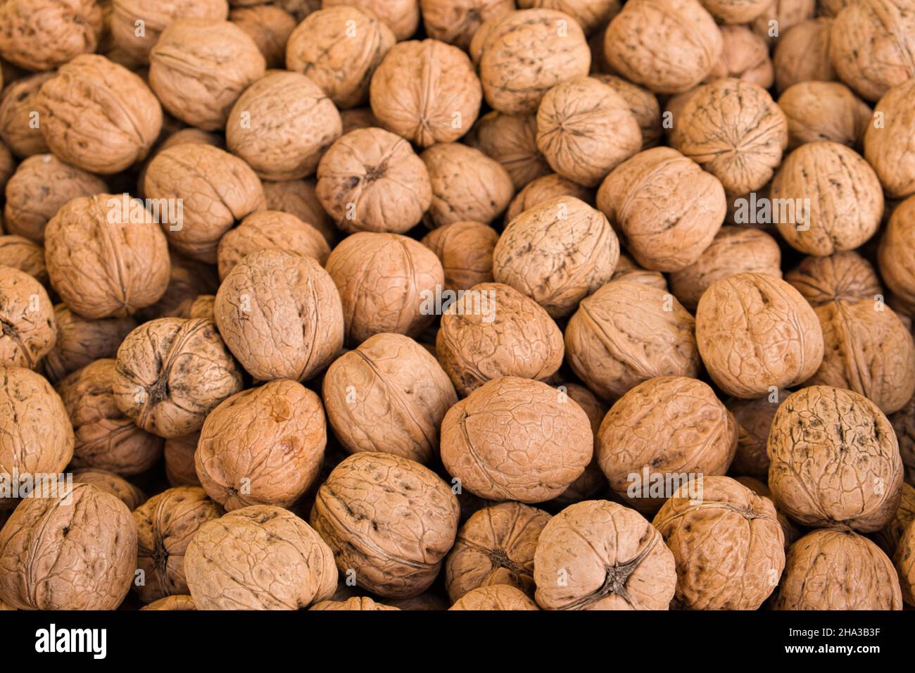 View of a lot of walnuts Stock Photo - Alamy