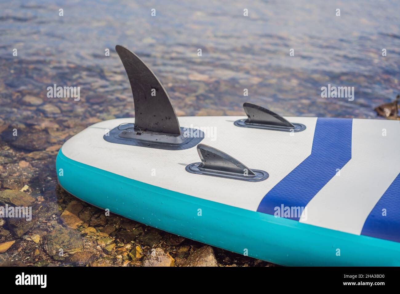 Sapboard hi-res stock photography and images - Alamy