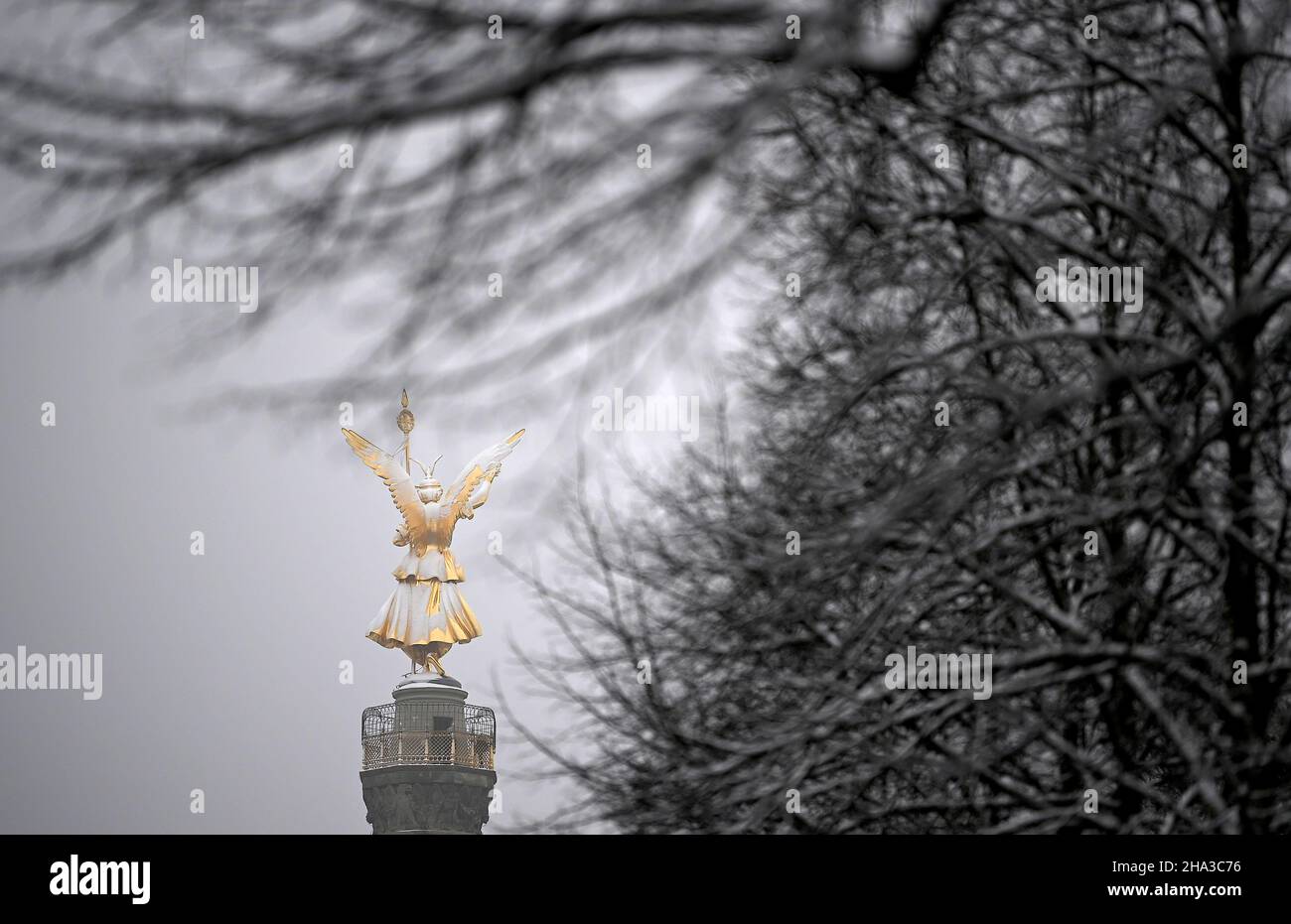 Berlin, Germany. 10th Dec, 2021. There is snow on the wings of the ...