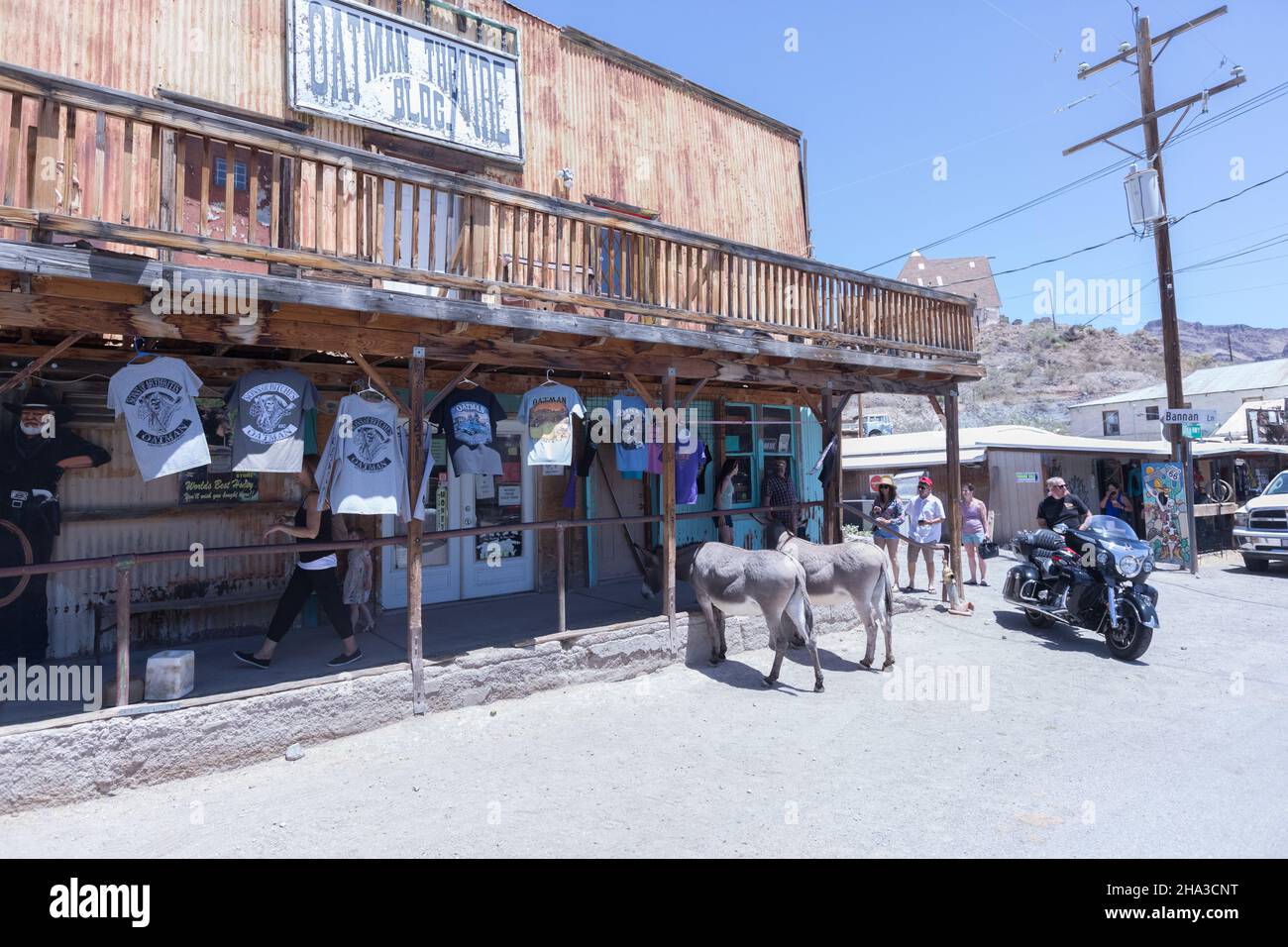 Oatman, Arizona: Donkey Stock Photo - Alamy