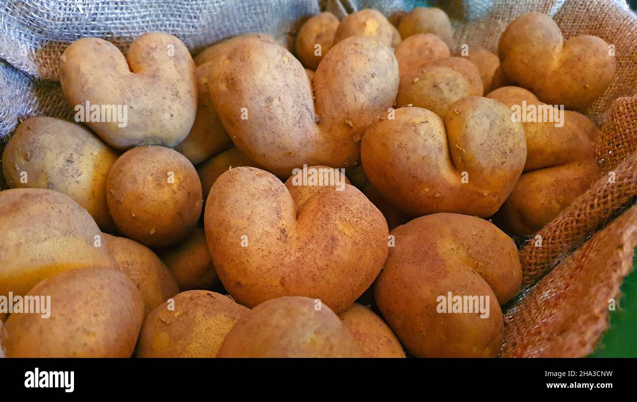 Heart shaped German potatoes in a basket on a farmers market Stock ...