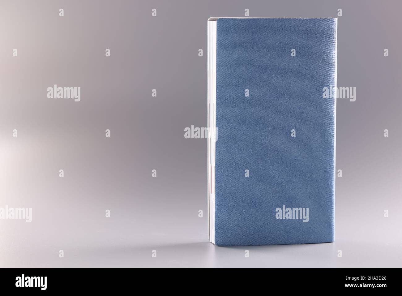 Diary with blue leather cover on gray background. Choosing diary for ...