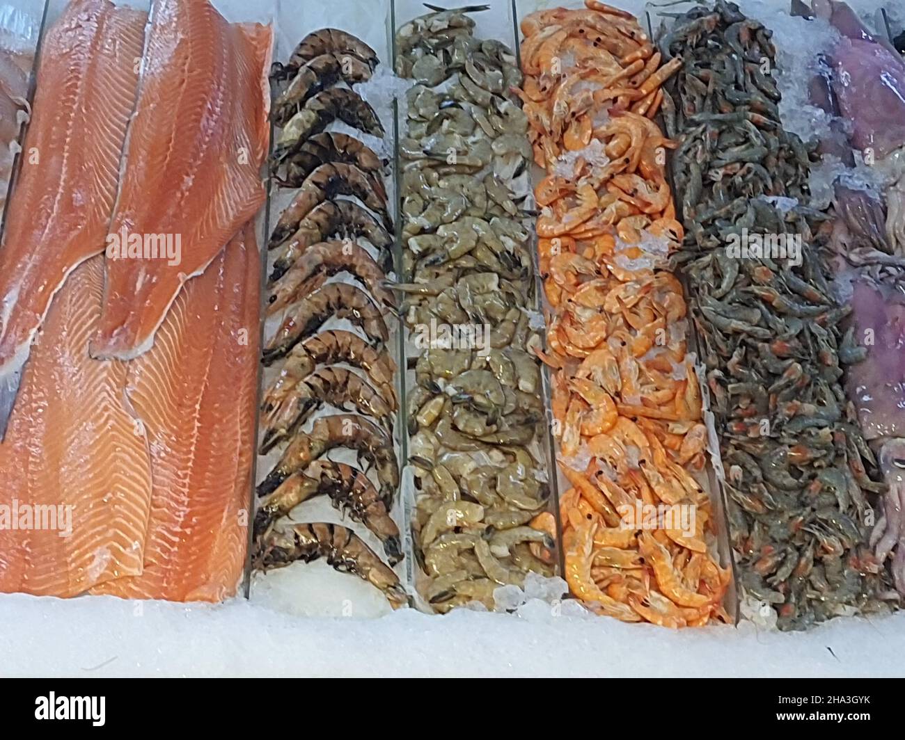 Types fish scales hi-res stock photography and images - Alamy