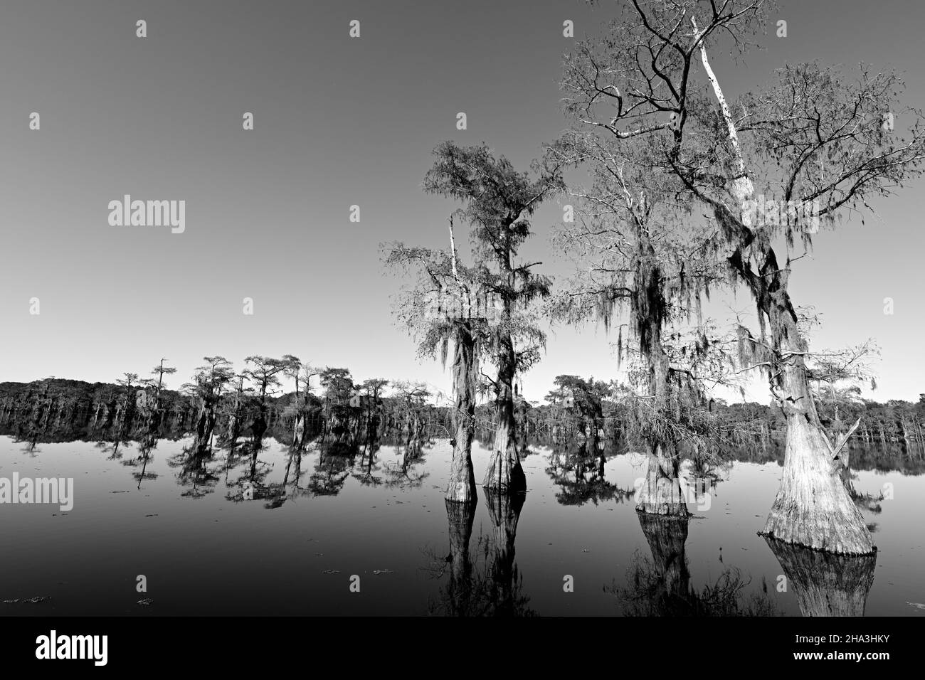 Lake of art Black and White Stock Photos & Images - Alamy