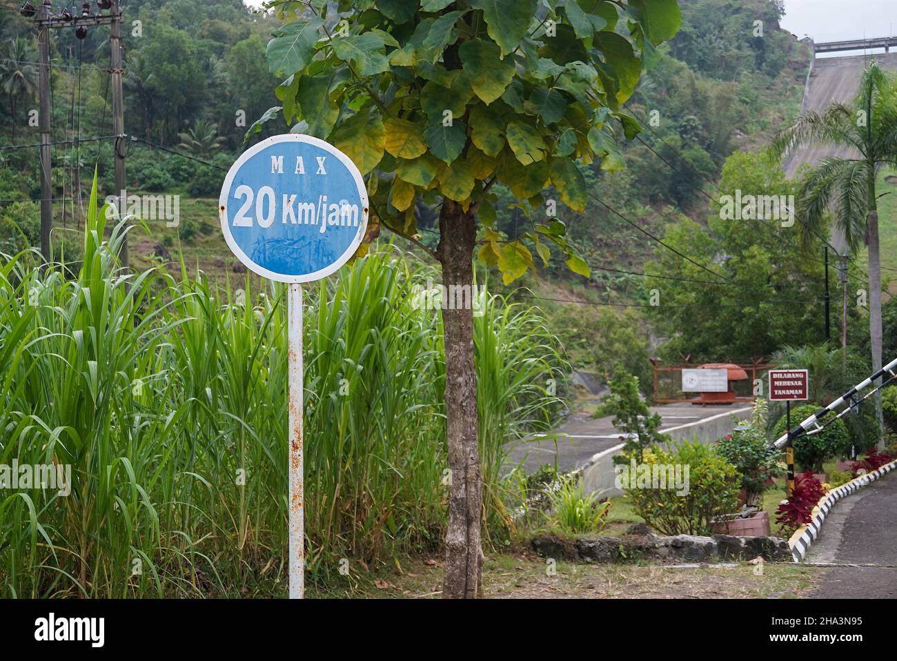 Beautiful shot of a blue sign with a speed limit of 20 km Stock Photo ...