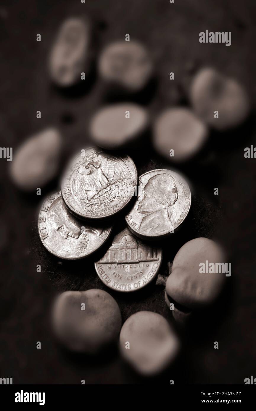 american hard currency and broad beans Stock Photo - Alamy