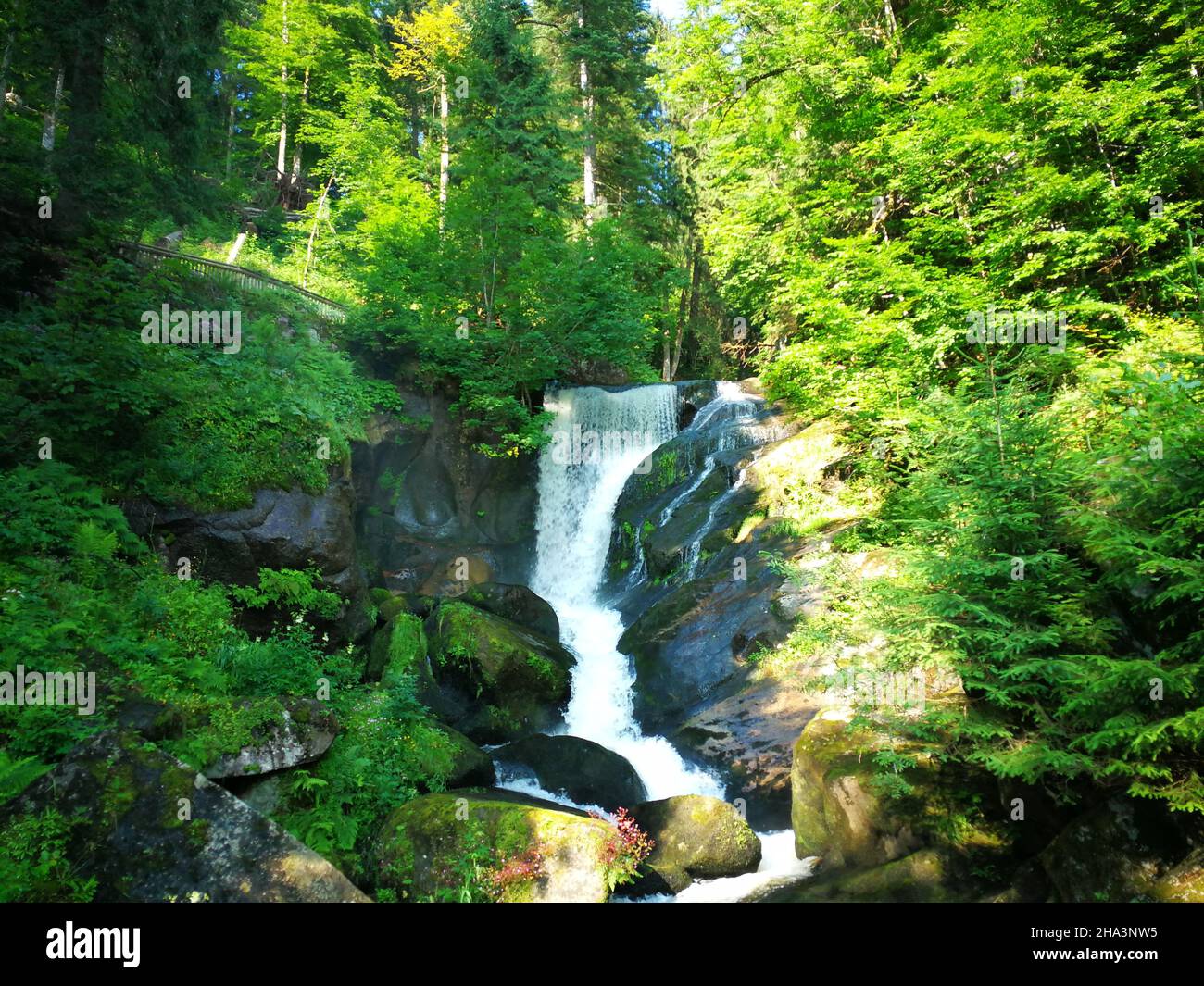 Mesmerizing shot of a magic waterfall in the dense, beautiful forest ...