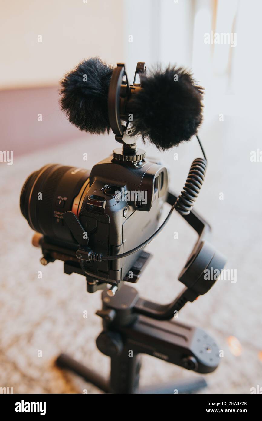 Vertical shot of a professional camera, with microphone and stabilizer ...