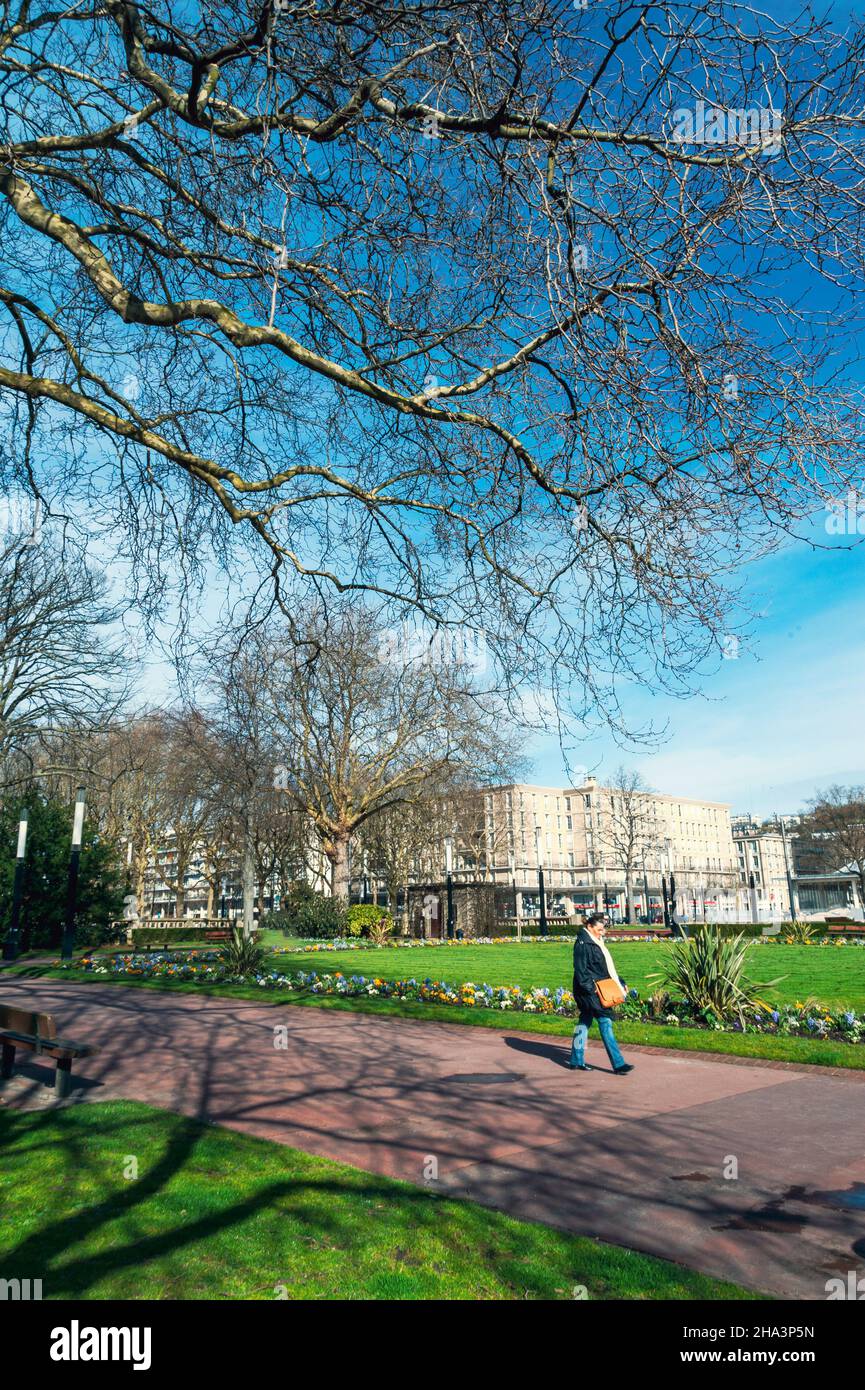 Women walking under the large tree during daytime Stock Photo - Alamy