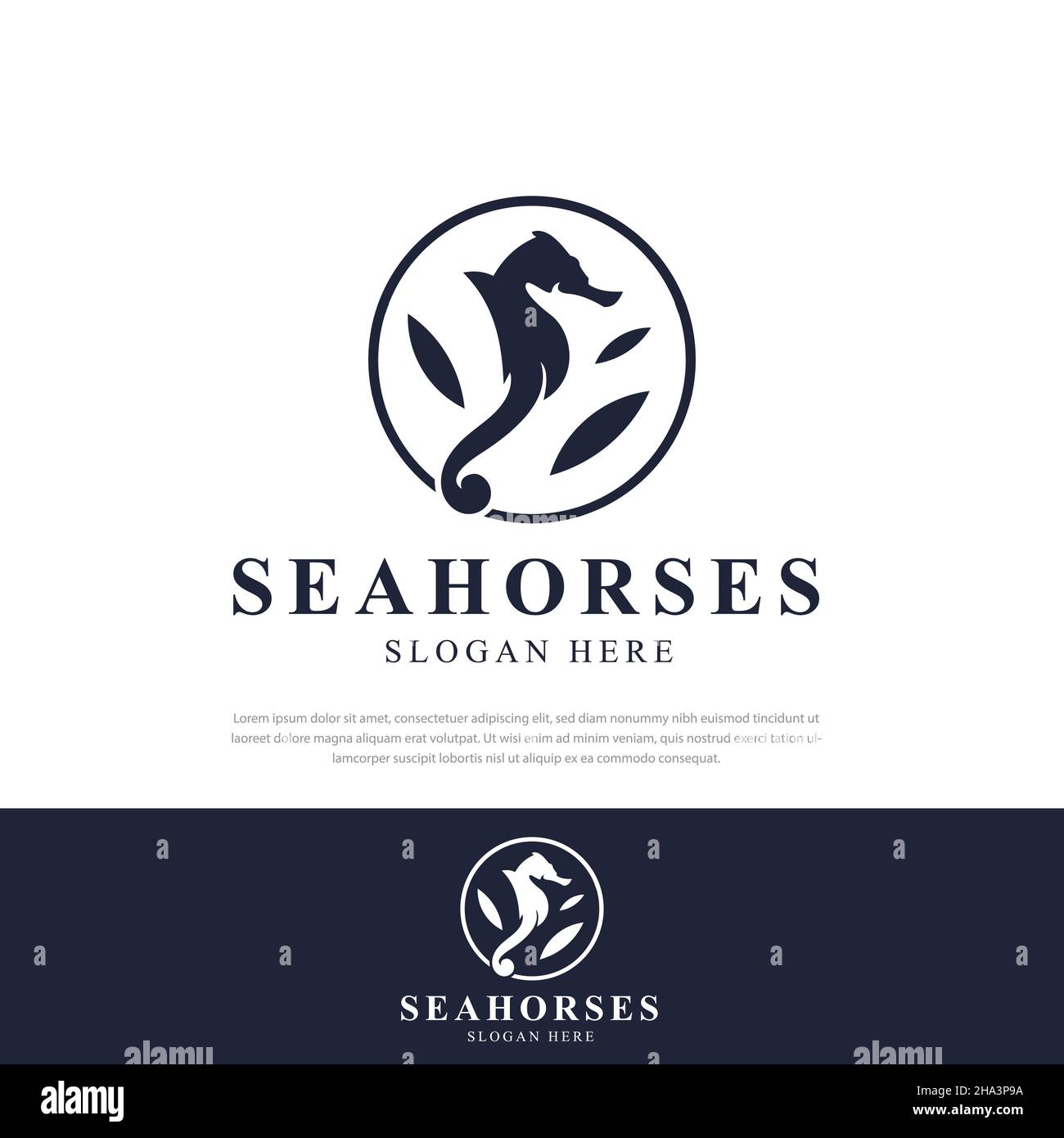 Seahorse logo in a circle of lines.Sea life silhouette illustration ...