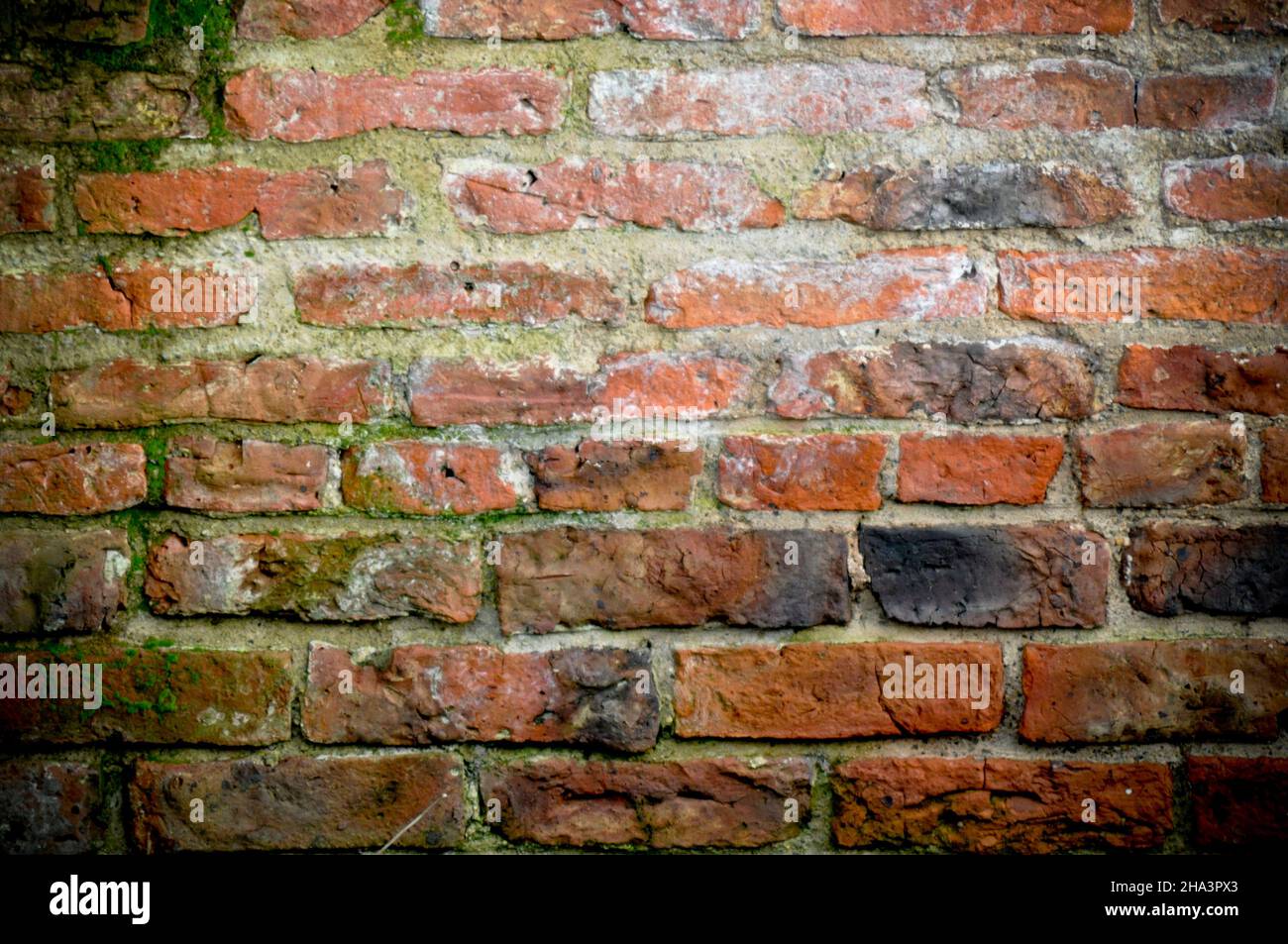 Aged brick texture hi-res stock photography and images - Alamy