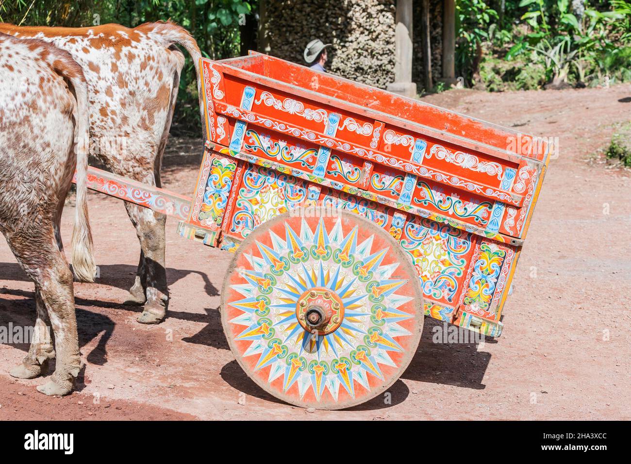 Decorative ox-cart, San Jose, Costa Rica, Central America Stock Photo ...